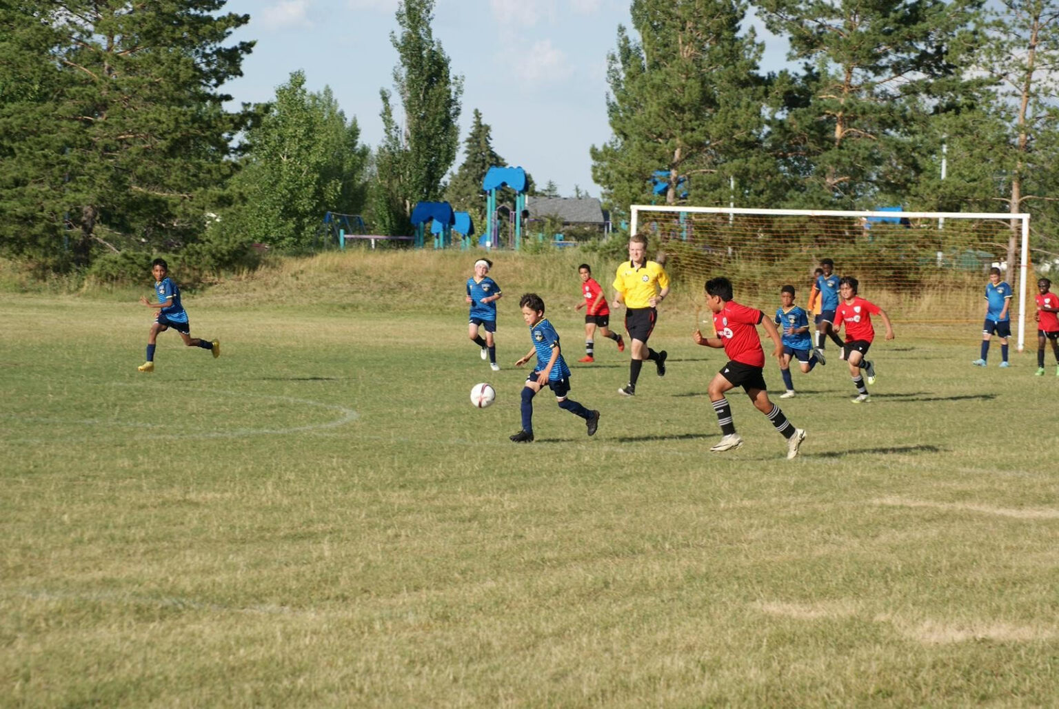 Home - Edmonton Strikers